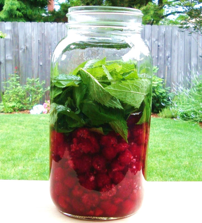 raspberry | Boozed + Infused